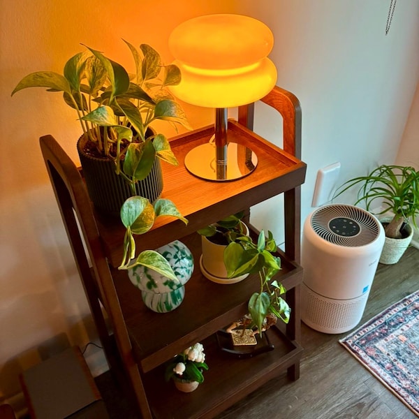 Mid-century Modern Pot in Matte Olive Green, Pots With Drainage and ...