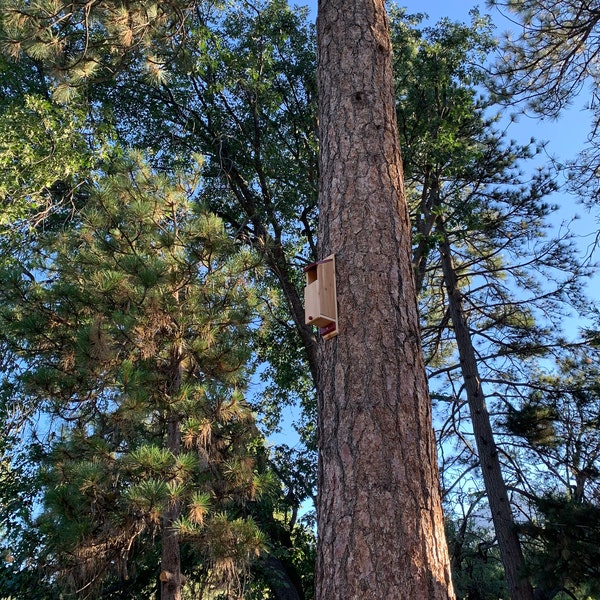 Lotus Flower Mandala Metal Wall Art, Lotus Flower Line Art, Large ...