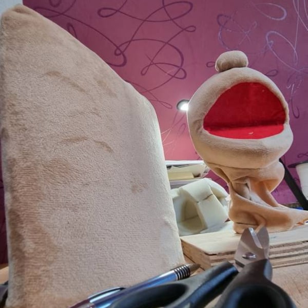 Short Plush Crystal Super Soft Plush Fabric for Sewing DIY Handmade ...