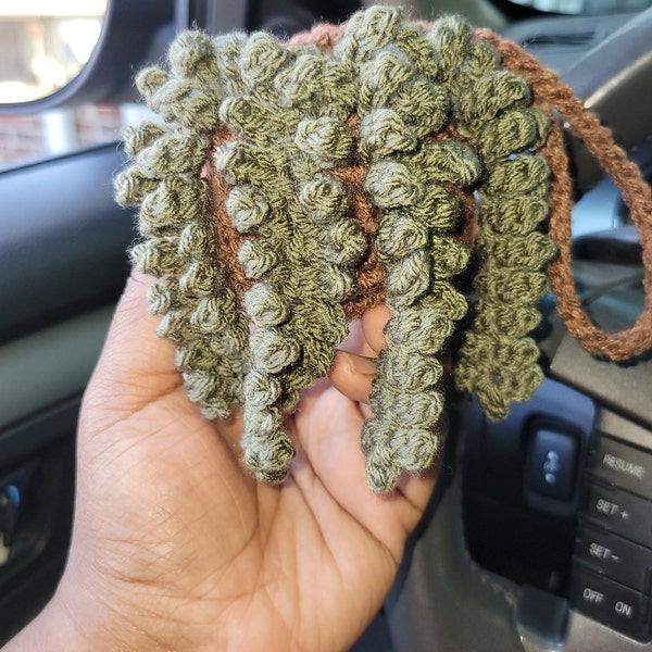 Crochet Hanging Fern Plant Pattern, VIDEO TUTORIAL ONLY - Etsy