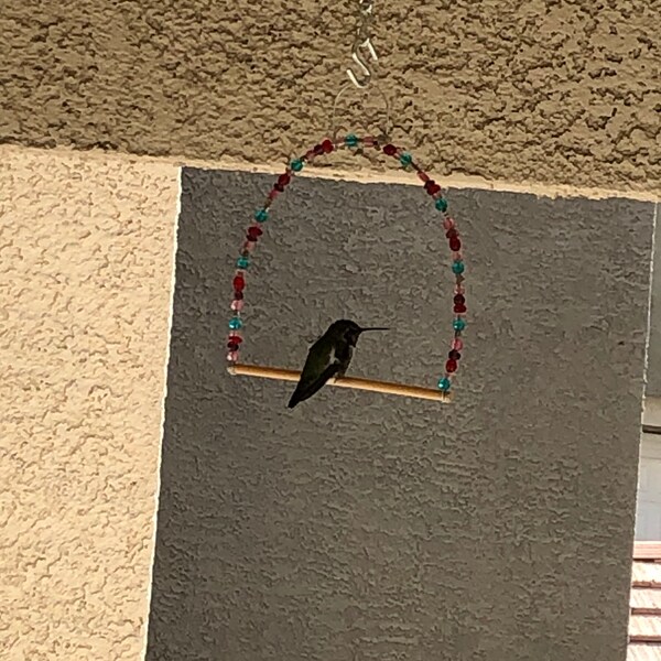 Set of 2 Hummingbird Swings Perches GREAT GIFT See Video - Etsy