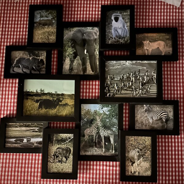 12 Openings PHOTO COLLAGE FRAME — Picture Frame Collage — Multiple ...