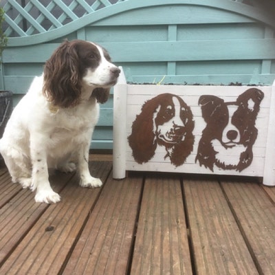 Springer Spaniel Gift / Springer Spaniel Metal Dog Decor / Rusty Metal ...