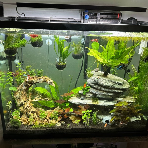 Aquascape,terrarium Decor, Aquascaping Decor,aquarium, House for Fish ...