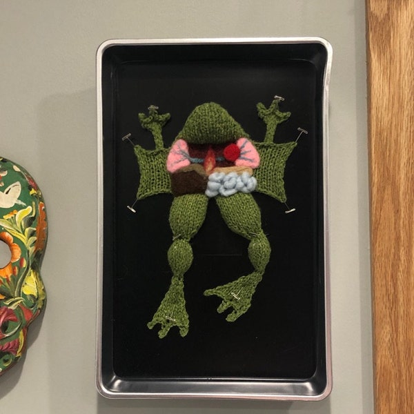 Knitted Dissected Bat Specimen - Etsy