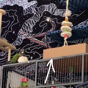 5 Bamboo Firecracker Talon Toys Bird Toys for Pet Parrots by | Etsy