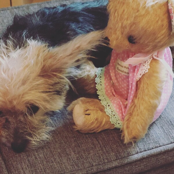 Japanese Large Anime Bunny Tooti by Jenny Lee of Jennylovesbenny Artist ...