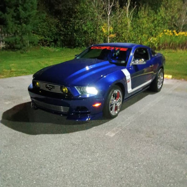 The Goat Large Side Vinyl Decal Graphics Fits Dodge Challenger Sxt Rt ...