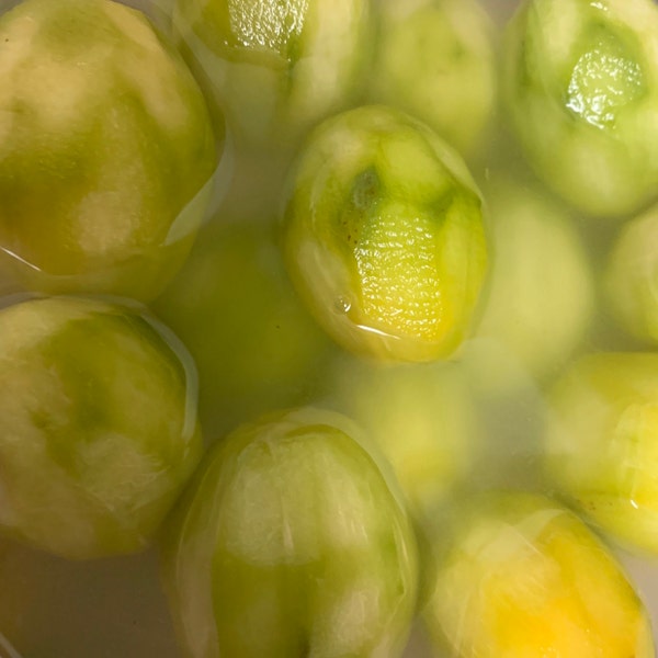 3LBS Fresh Dwarf June Plums - Always Freshly Picked - ** Pre Orders ...