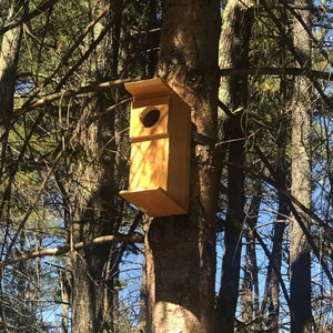 Barred or Great Horned Owl nesting box made of pine and cedar | Etsy