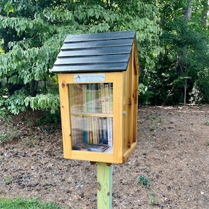 Neighborhood Book Library/blessing Boxone Color With Metal Roof and Two ...