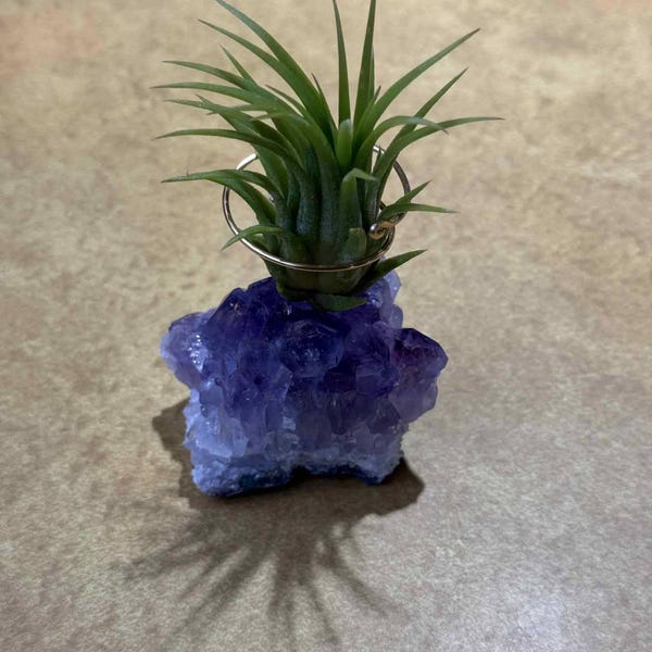 Unique Plant and Crystal Gift, Blue Agate Slice Crystal Planter, Air ...