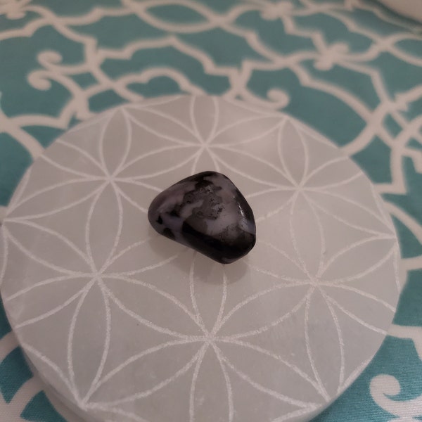 Indigo Gabbro Tumbled Stone - Multiple Sizes Available - Tumbled Mystic ...
