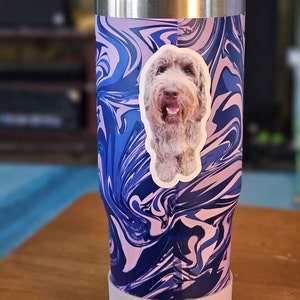 Dead Lift Sticker, Funny Vinyl Sticker, PREMIUM Quality, Laminated ...