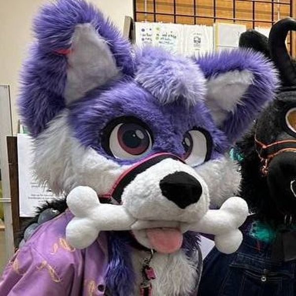 Fursuit Eye Mesh - Hypno Swirl Mascot Costume Eyes - Etsy