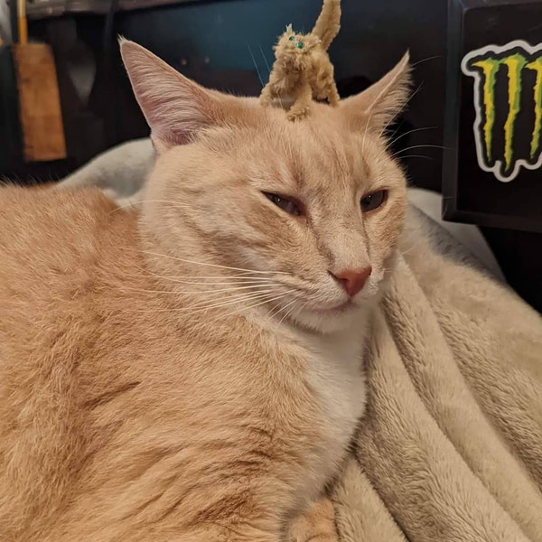 SURPRISE FUNNY FERAL! One Posable Chenille Stem, Pipe Cleaner Kitty Cat ...