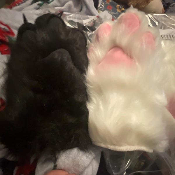 Pure White Paws, Furry Gloves, Cosplay Gloves, Cat Paws, Puppy Paws ...