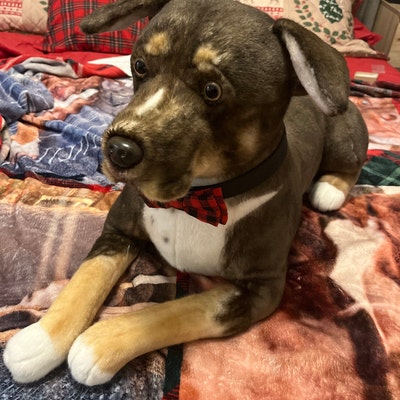 Custom Stuffed Animal of Pet Pet Plush Clones Turn Photo of Pet Into ...