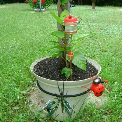 Copper Hummingbird Swing or Hummingbird Perch W/hook, Bird Perch, Red ...