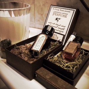 November in the Temperate Deciduous Forest™ Perfume Oil Black Tea ...