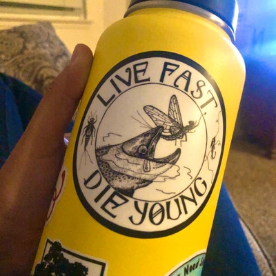 Stonefly Sticker - Etsy