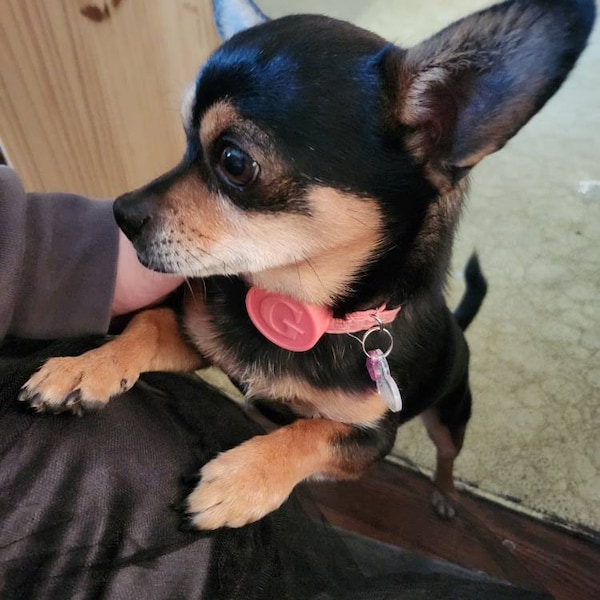 Personalized Tile Sticker Collar Case, Customized Collar Case for Tile ...