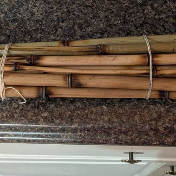 Bamboo Sheaths Natural Organic Substrate for Vivarium, Terrarium ...