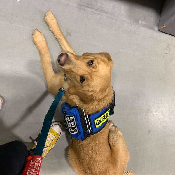 1 Patch, IGNORE ME, 5x2, Sew On, Customizable, Custom Embroidered Patch ...