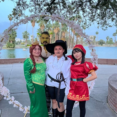 The Fiona Tiara,princess Fiona,shrek,ogre Fiona,fiona Headband,fiona ...