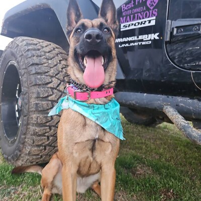 Helicopter Mom Lil Heart Sticker Decal TP 794 Decal Momma - Etsy