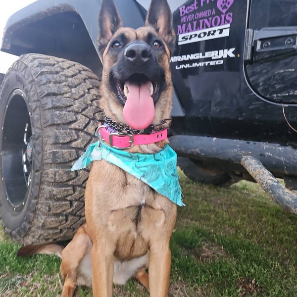 Lady Trucker TP 684 Vinyl Decal Sticker Truck Driver Semi Big Rig 18 ...