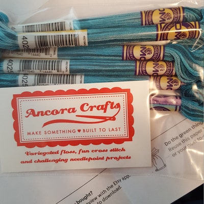 DMC 4025 Variegated Embroidery Floss Caribbean Bay - Etsy