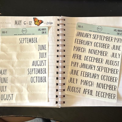 Large Days of the Week Stickers for Planners, Organizers and Bullet ...