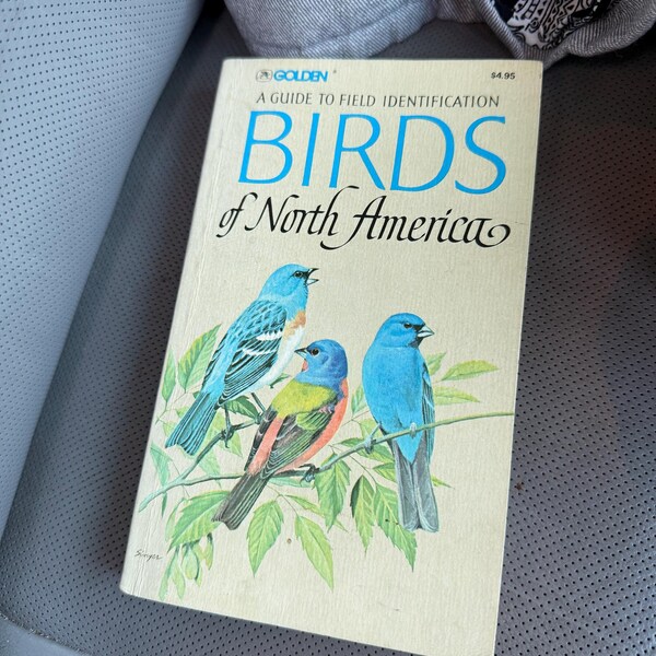 The Story of Peter Rabbit, Board Book, Beatrix Potter, Illustrated by ...