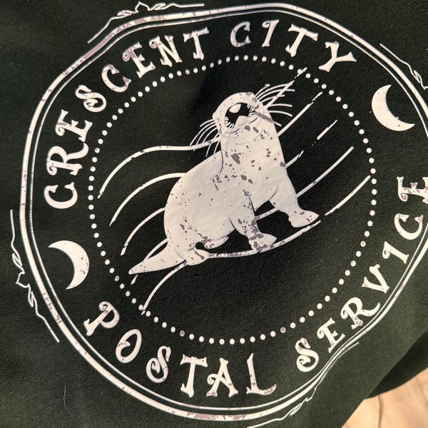 ACOTAR House of Wind Book Club Shirt | Night Court Velaris House of ...