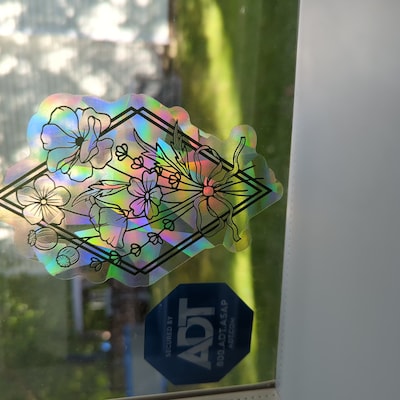 Paw Print Sticker, Holographic Dog Sticker, Hiking Vinyl Sticker, Dog ...