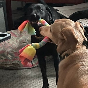 Large Dog Toy With a Tennis Ball in the Center by Boss Dog | Etsy