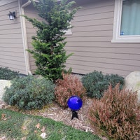 Wine Bottle Trellis, Free-standing for Garden, 80h X 24w - Etsy Canada