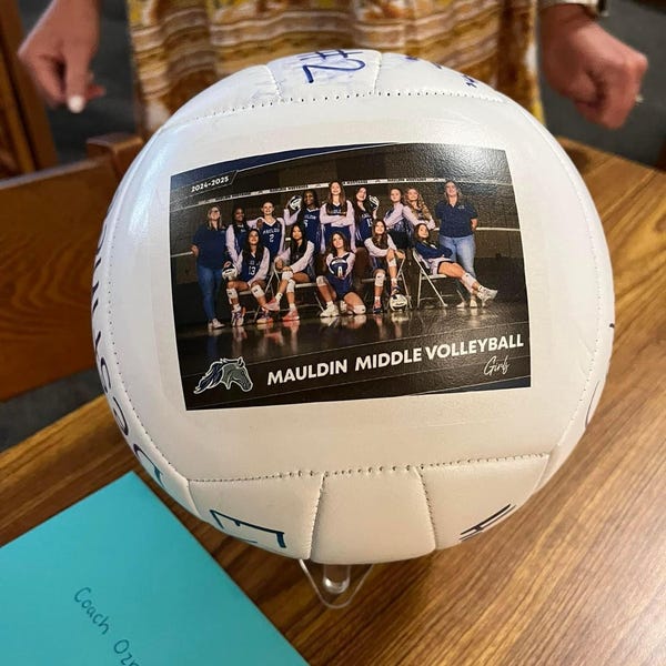 Custom Photo Volleyball - Full Regulation Size - 2 Sided Printing ...