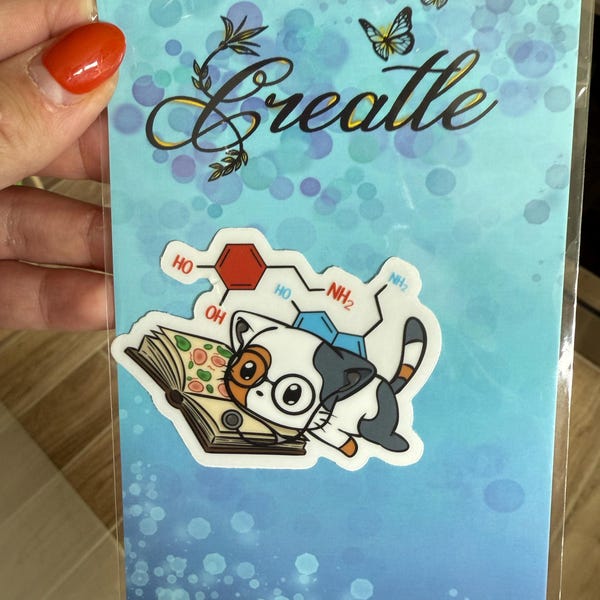Math Cat Sticker (CLEAR Sticker) - Etsy