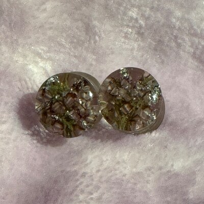 Real Moss Transparent Mushroom Plugs, Nature Tunnels, Real Plant ...