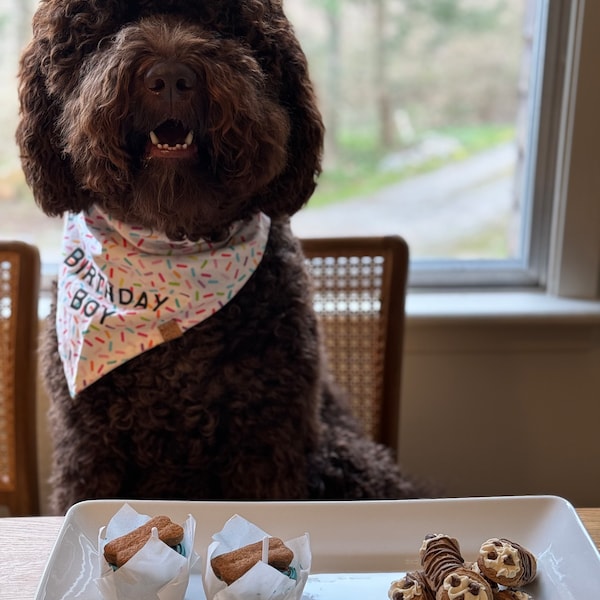 Peanut Butter Cannoli Dog Treats 4 Pack - Etsy