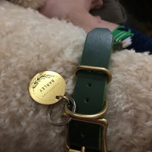 Large Dog Tag Customized Pet Tag Pet Identification Collar - Etsy