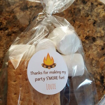 Camping S'mores Stickers, S'more Fun, Camping Theme, First Birthday ...