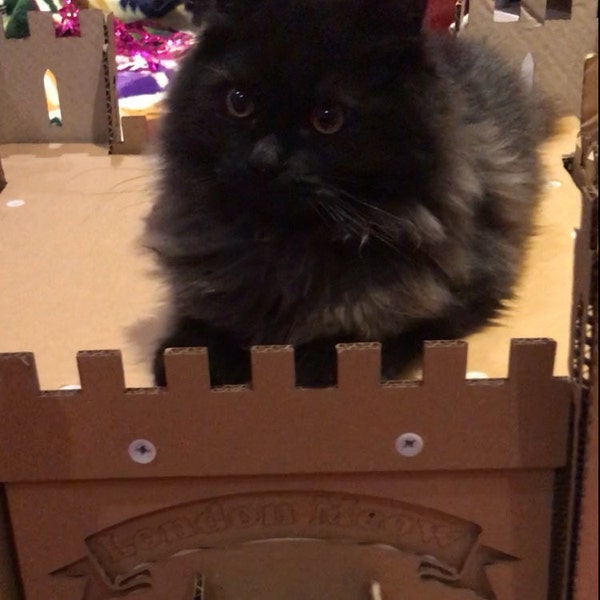 Cat S Fortress Cardboard Cat House Etsy