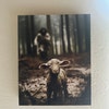 Jesus and Lamb No Words, Smaller Prints, Faith Canvas Prints, Jesus ...