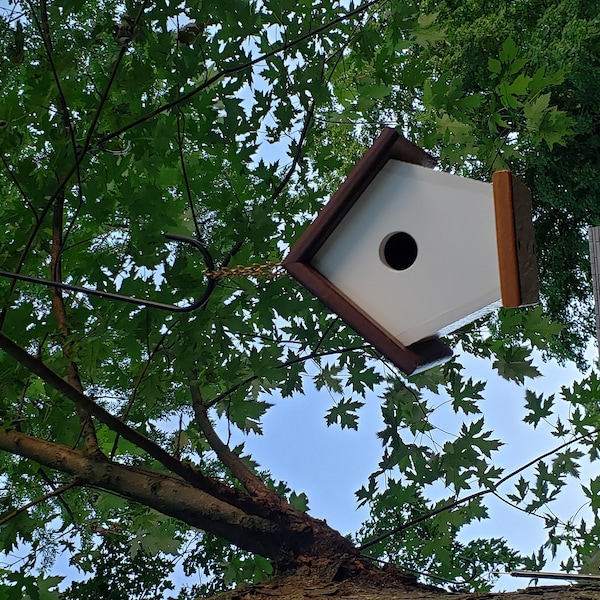 Wren Bird House, Choose Your Color Combination, Wren House, Custom ...