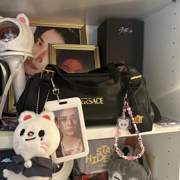 Han SKZ Iron Sign, for Stray Kids Fans Wall Decoration, Aesthetic Iron ...