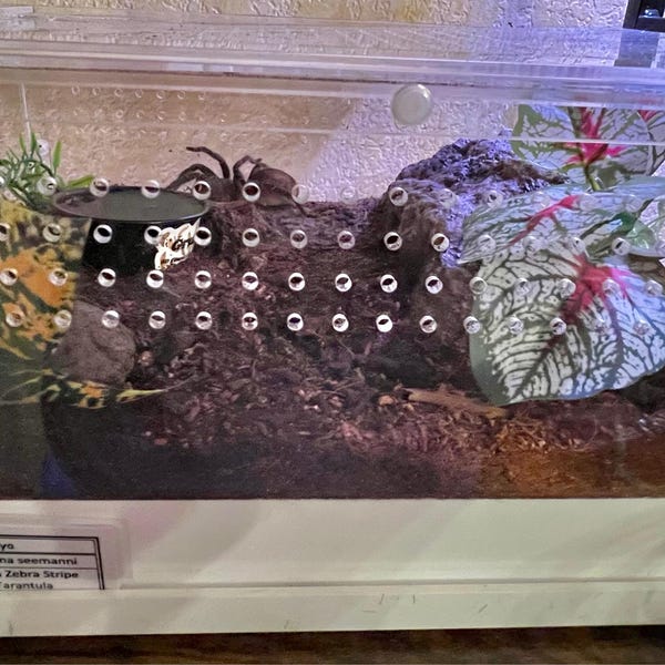 Small Terrarium Label Laminated Enclosure Label Exotic Pet Informative ...