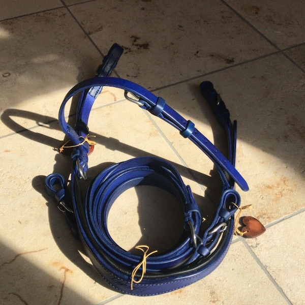 Noseband With Chain Lazypony, Handcrafted Cavesson With Chain, Metal ...